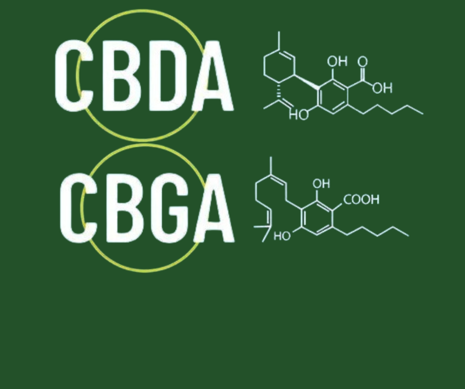 What is CBDa and CBGa – aliceCBD